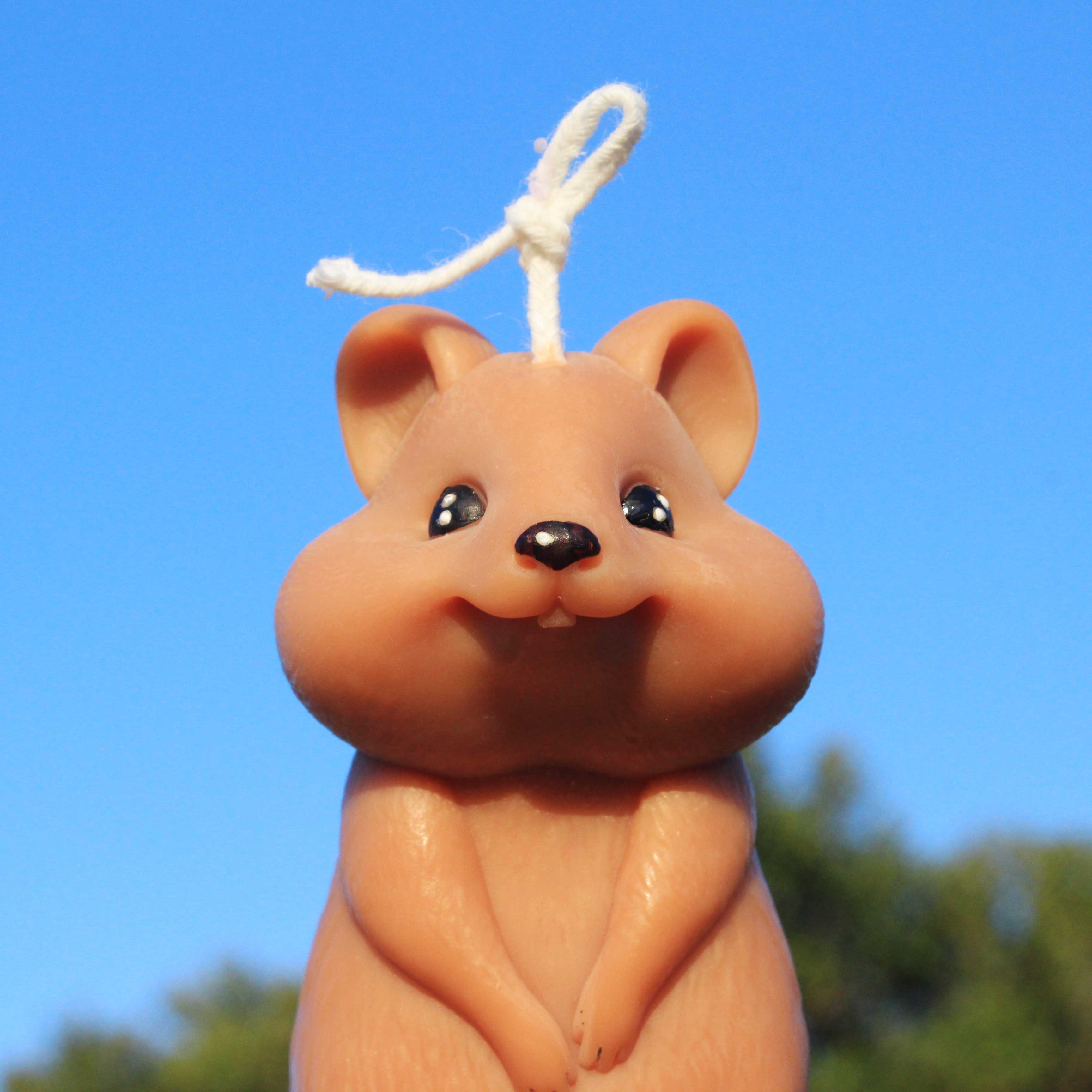 Animal Candles – wickly candle